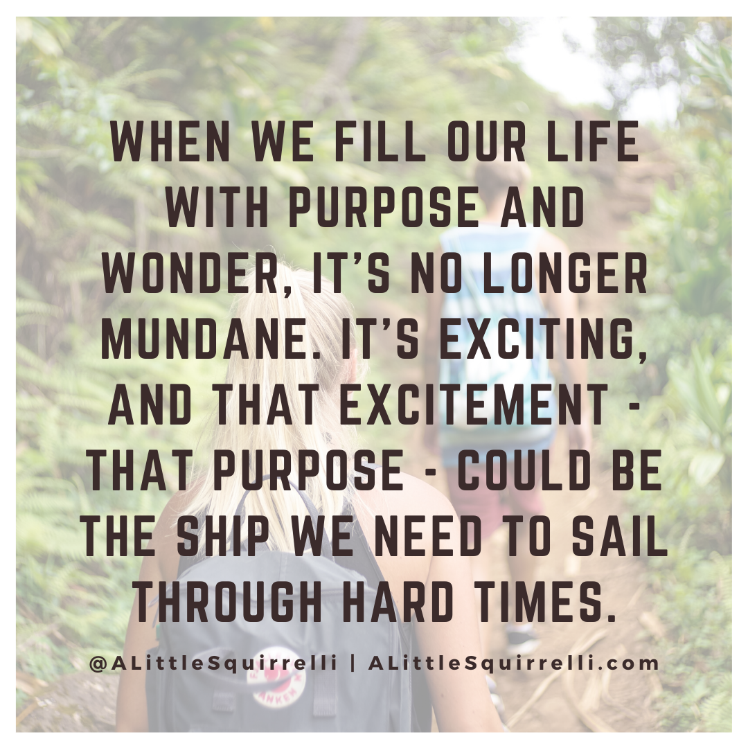 Finding meaning in the mundane – A Little Squirrelli